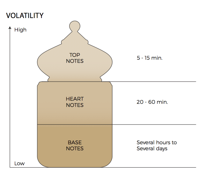 Perfumery Basics, the Olfactory Pyramid Explained– Matin Martin