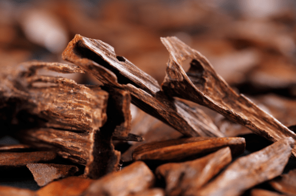 Unveiling the Mystique of Oud: Characteristics and Usage in Perfumery ...